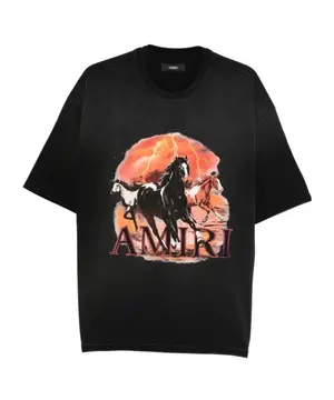 Amiri Plains Graphic Crewneck T-shirt
