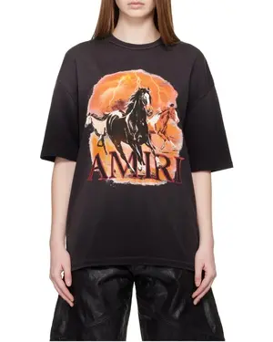 Amiri Plains Graphic Crewneck T-shirt