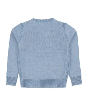 Polo Ralph Lauren Flag Crew Neck Sweater - Light Blue