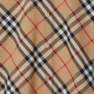 Burberry Long-sleeved Checked Shirt