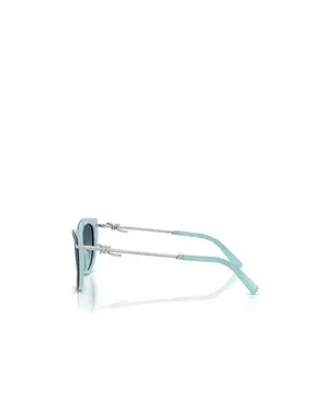 TIFFANY  CO. Tiffany & Co. Cat Eye Full Frame Sunglasses