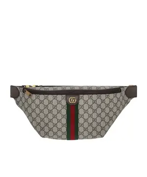 Gucci Ophidia Large Belt Bag - Beige And Dark Brown
