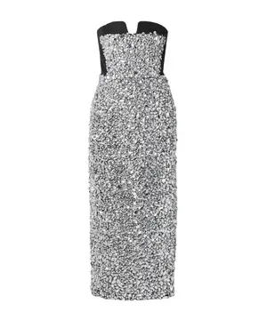 Carolina Herrera Glamorous Evening Dresses
