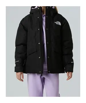The North Face Mountain Down Jacket