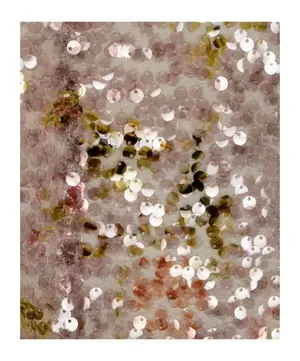Alberta Ferretti Sequined Floral Print Maxi Dress - No