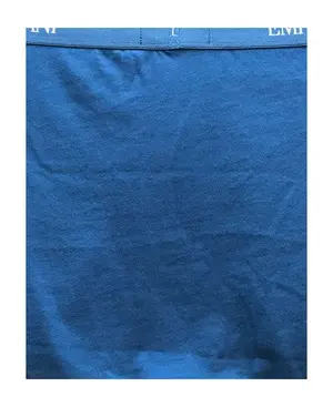 Emporio Armani Logo Waist Panties - Blue
