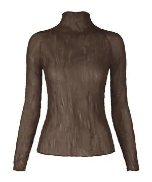 Issey Miyake High-neck Pleated Long-sleeve Top - Dark Brown