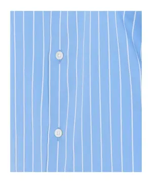 Auralee Striped Shirt