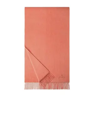 Loro Piana Grande Unita Scarf