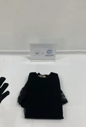 TWINSET Lace Sleeve Mini Dress