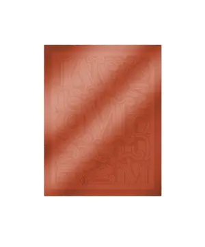 Max Mara Fringed Scarf - Coral
