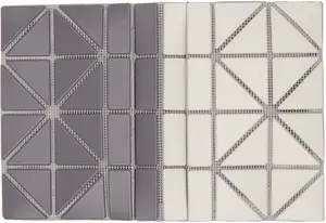 Issey Miyake W Color Card Pack - Gray