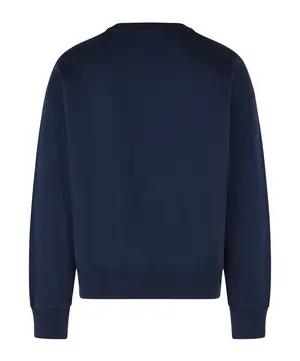 Polo Ralph Lauren Crewneck Sweatshirt With Usa Embroidery