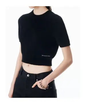 Alexander Wang Short Sleeve Cropped Ribbed Top