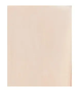 Ermanno Scervino Scalloped Trim Shirt - Nude