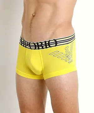 Emporio Armani Logo Detail Panties