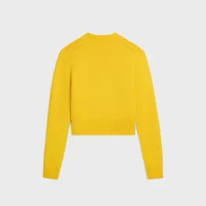 Celine Crewneck Sweater In Cashmere