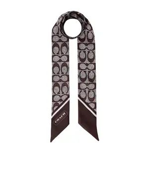 COACH Pointed Silk Scarf