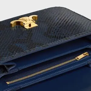 Celine Classique Triomphe Bag In Python