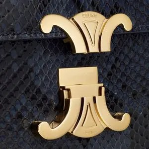 Celine Classique Triomphe Bag In Python