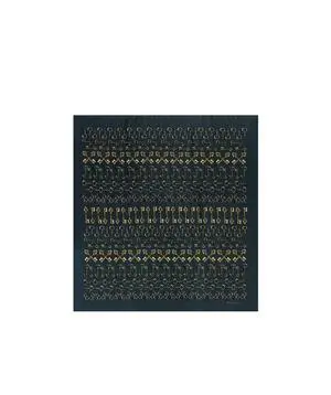 Dolce & Gabbana Silk Printed Silk Scarf - Black