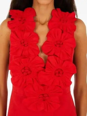Farm Rio 3d Floral Appliqué Maxi Dress