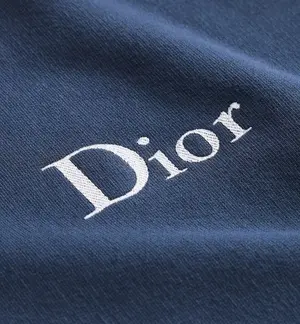 Dior Hooded Sweatshirt With Embroidery - Blue