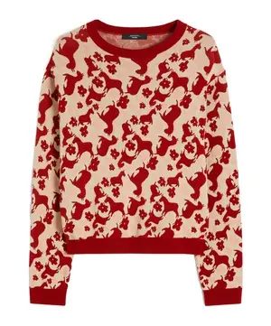 Max Mara Long Sleeve Jacquard Knit Sweater