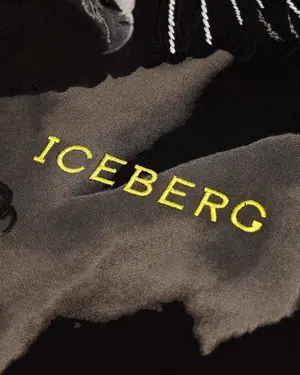 Iceberg Logo Embroidered T-shirt