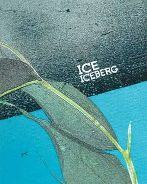 Iceberg Printed T-shirt With Round Neck