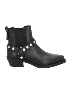 Ash Pointed Toe Chunky Heel Ankle Boots