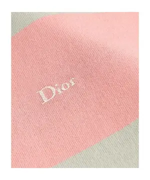 Dior Long-sleeved Polo Shirt