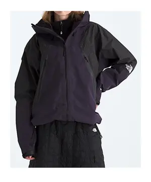 The North Face Paneled Hooded Jacket