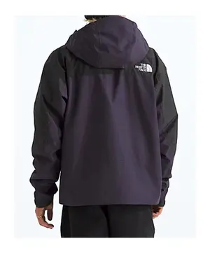 The North Face Paneled Hooded Jacket