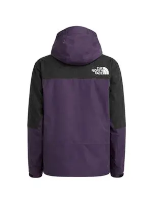 The North Face Paneled Hooded Jacket