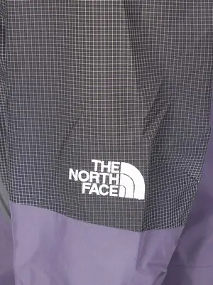 The North Face Paneled Hooded Jacket