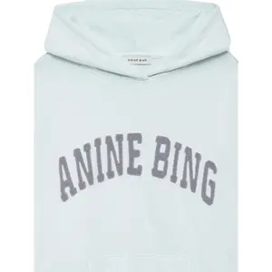 ANINE BING Harvey Logo Hoodie - Spring Mint