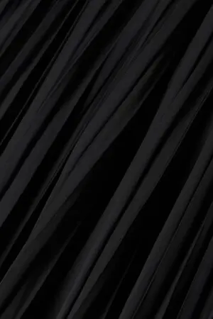 Ulla Johnson Elasticated-waist Pleated Maxi Skirt
