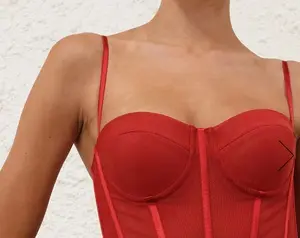 Zimmermann Rebellion Corset Bodysuit