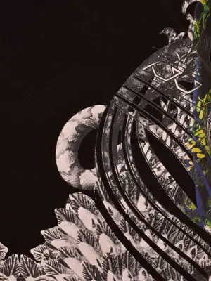 Just Cavalli Printed T-shirt - Black