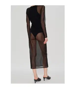IRO PARIS Long Sleeve Sheer Dress