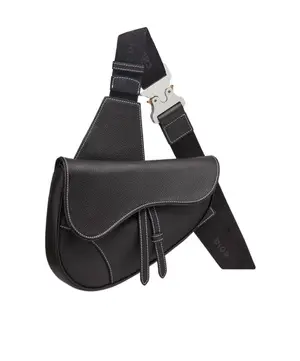 Dior Saddle Bag