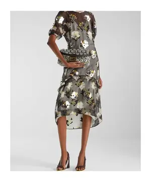 Fendi Bouquet Appliquéd Sheer Midi Dress