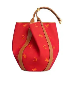 Celine Trimmed Bucket Bags
