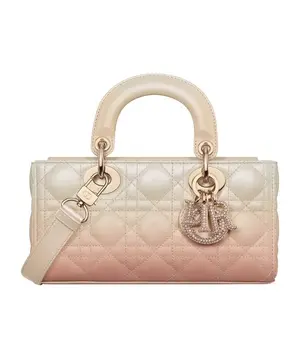 Dior Small Mini Bags