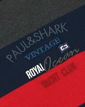 PAUL  SHARK Striped Long-sleeved Polo Shirt