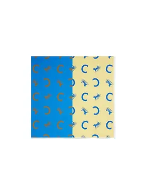 Celine Square In Silk Twill - Blue