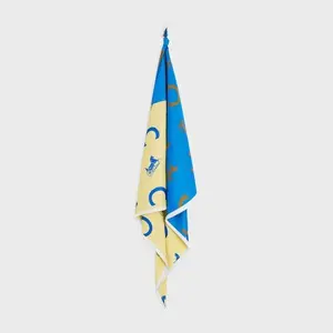 Celine Square In Silk Twill - Blue