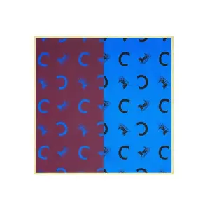 Celine Square In Silk Twill - Blue