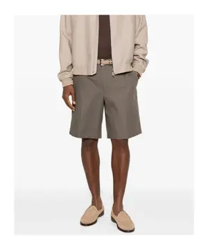 Zegna Tailored Pleated Shorts - Brown